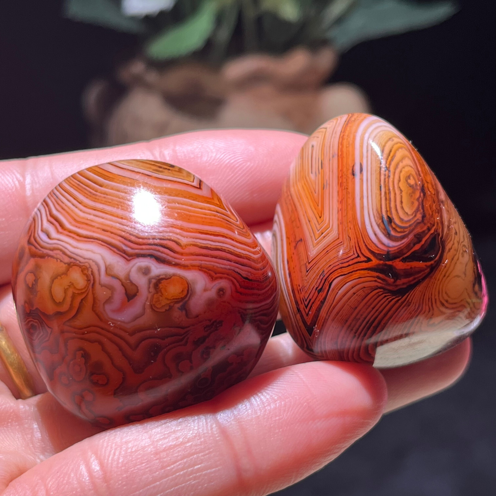 rare Natural Gobi silk wrapped agate Madagascar beautiful to watch C140 ...