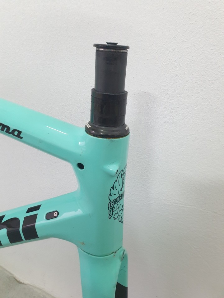 Bianchi Specialissima CV Carbon Frameset Size 55 Rim Brake | eBay