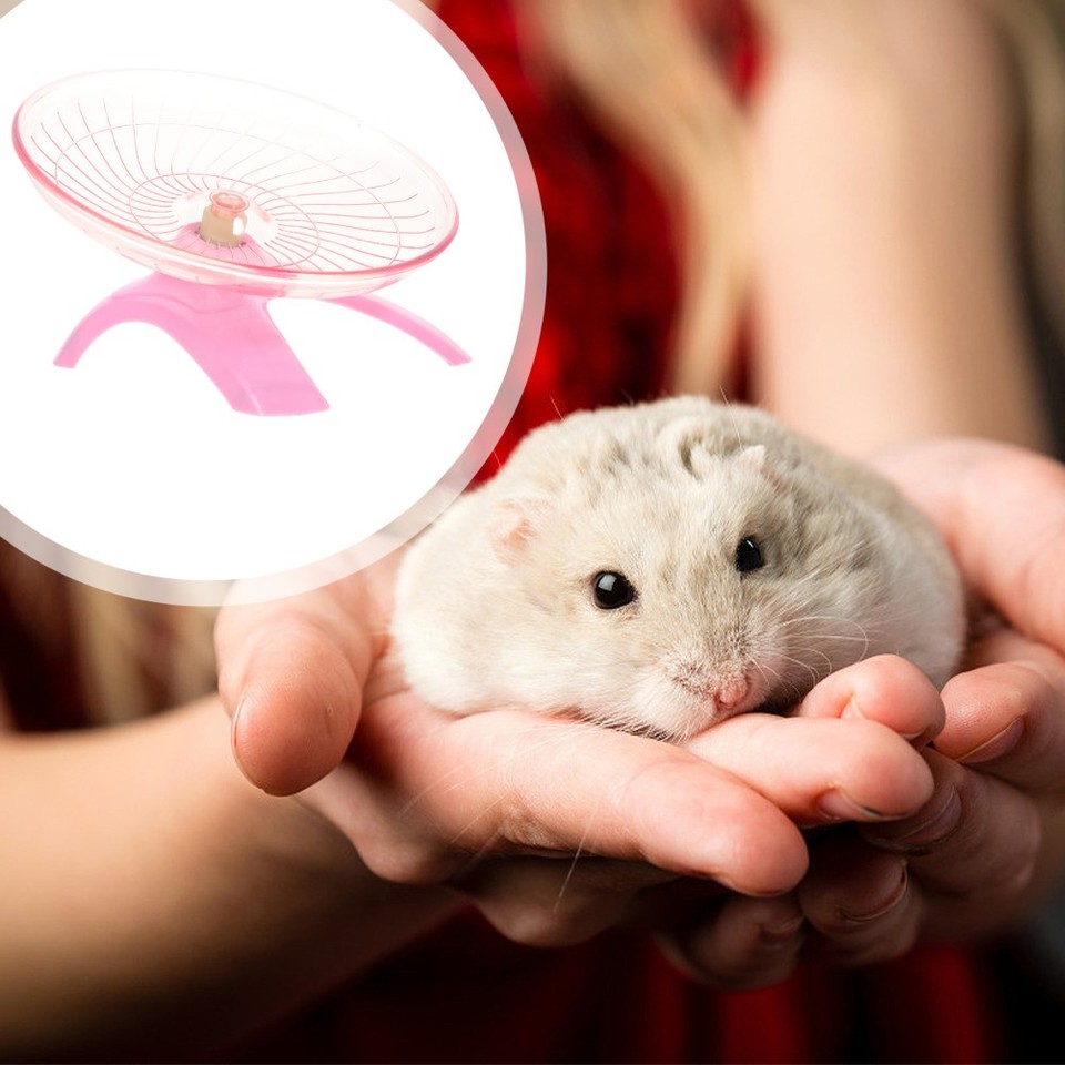 Small Animal Exercise Wheel Vehicle for Hamsters Pet Toy Non Run Disc ...