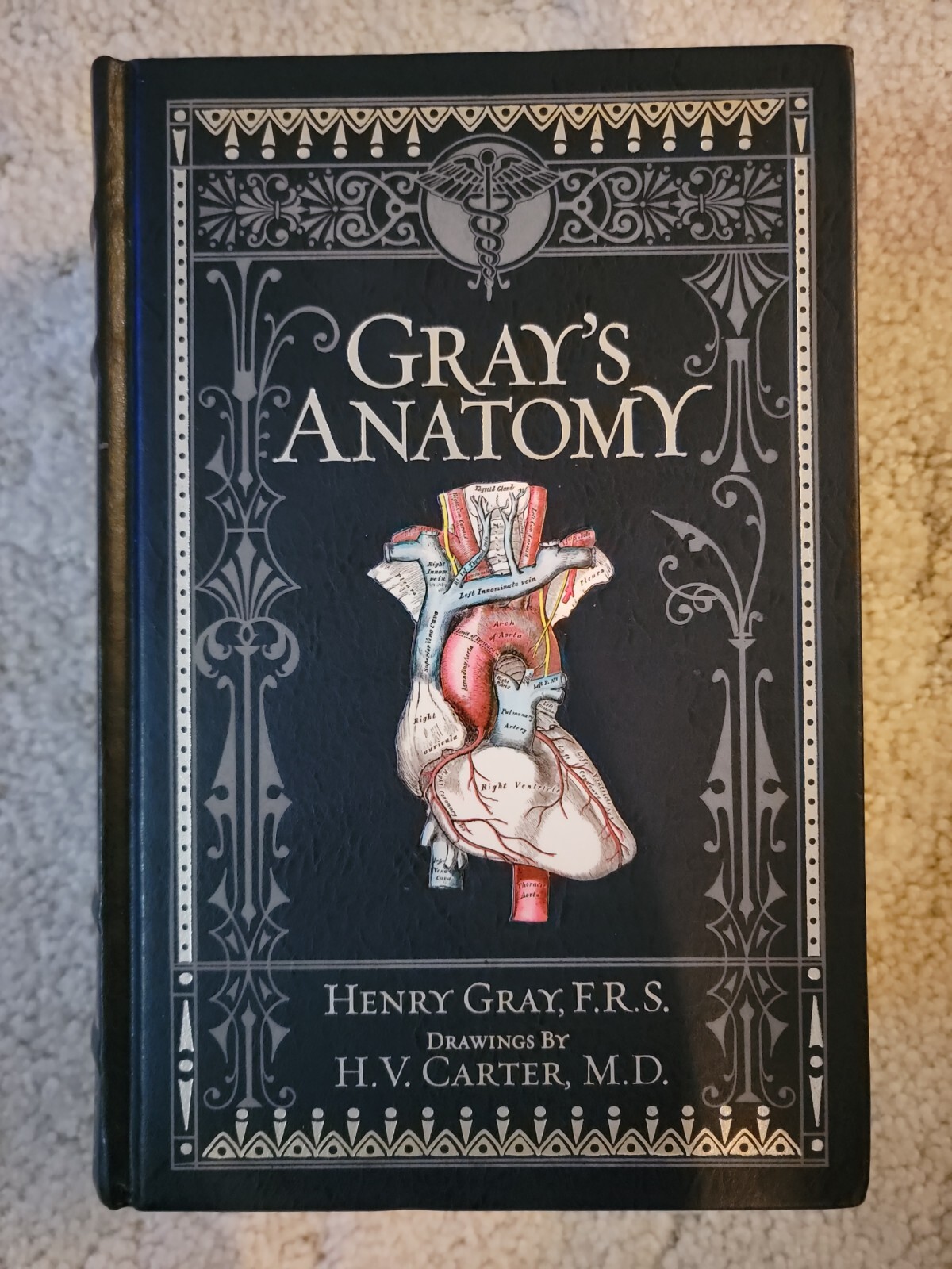 Gray's Anatomy by Henry Gray, F.R.S. Medical Reference 15th Edition ...