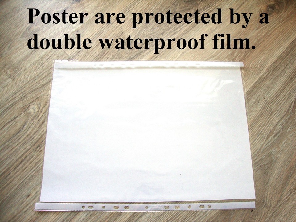 Poster US M1 Garand rifle Colt 1911 pistol Winchester 1912 BAR M1918 ...