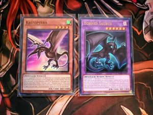 XYangZynchro | eBay Stores