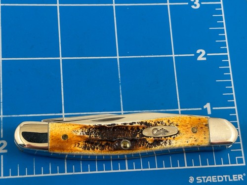 Very Nice Case XX Beautiful Bone Stag Mini Muskrat Knife SS | eBay