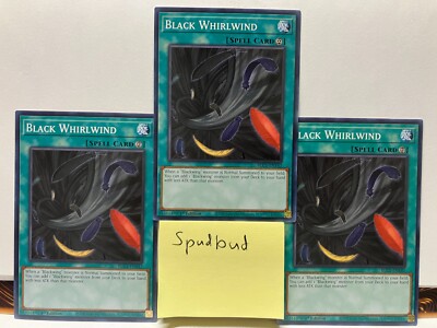 x3 Black Whirlwind 3x Common BLC1-EN142 (Near Mint 1st Edition) | eBay
