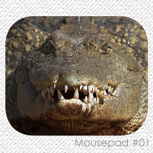 ALLIGATOR CUSTOM MOUSE PAD WILD LIFE PHOTO FAMILY MOUSEPAD (CM-03) | eBay