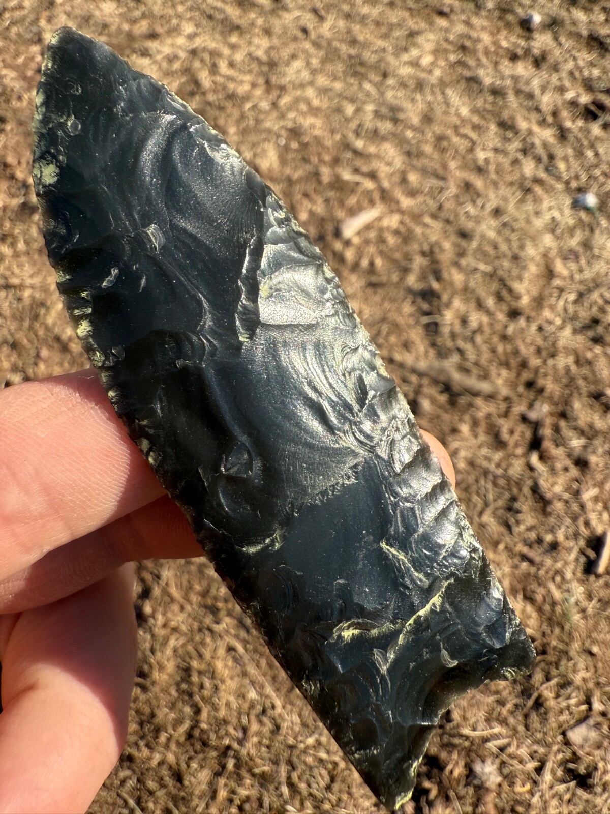 paleo plainview point arrowhead artifact OR coa | eBay