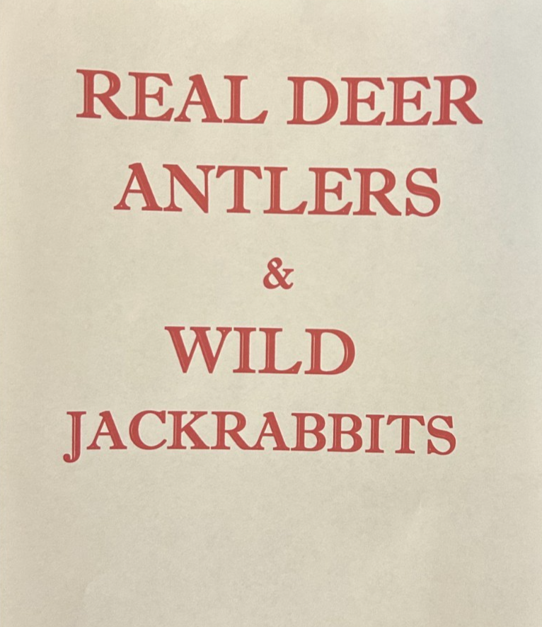 SALE 8 Pt. Jackalope REAL Antlers & Rabbit Home Decor Gifts Taxidermy ...