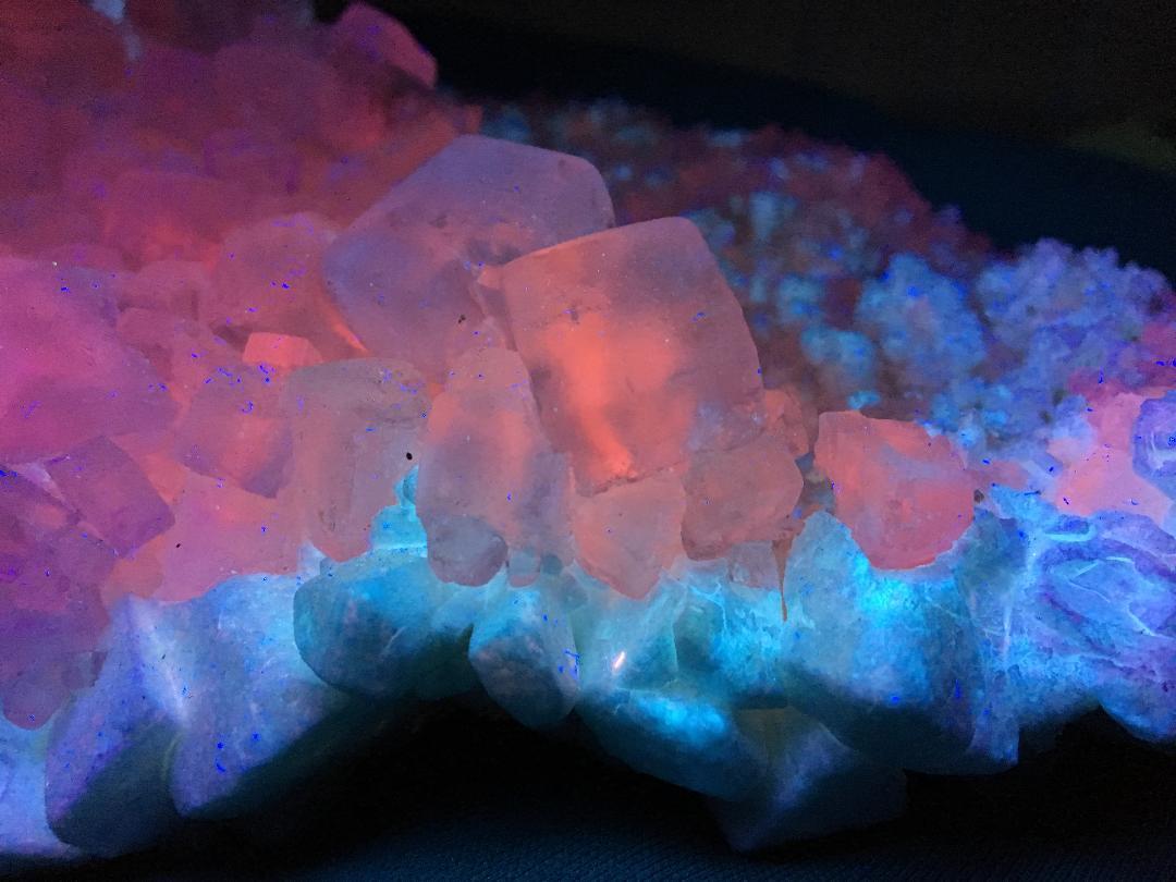 KB: MUSEUM FL. ORANGE/RED SW HALITE XLS. WITH SW FL. PICROMERITE XLS ...