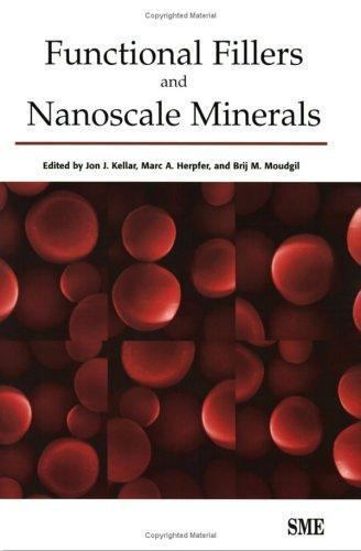 Functional Fillers and Nanoscale Minerals by Jon J. Kellar (2003 ...