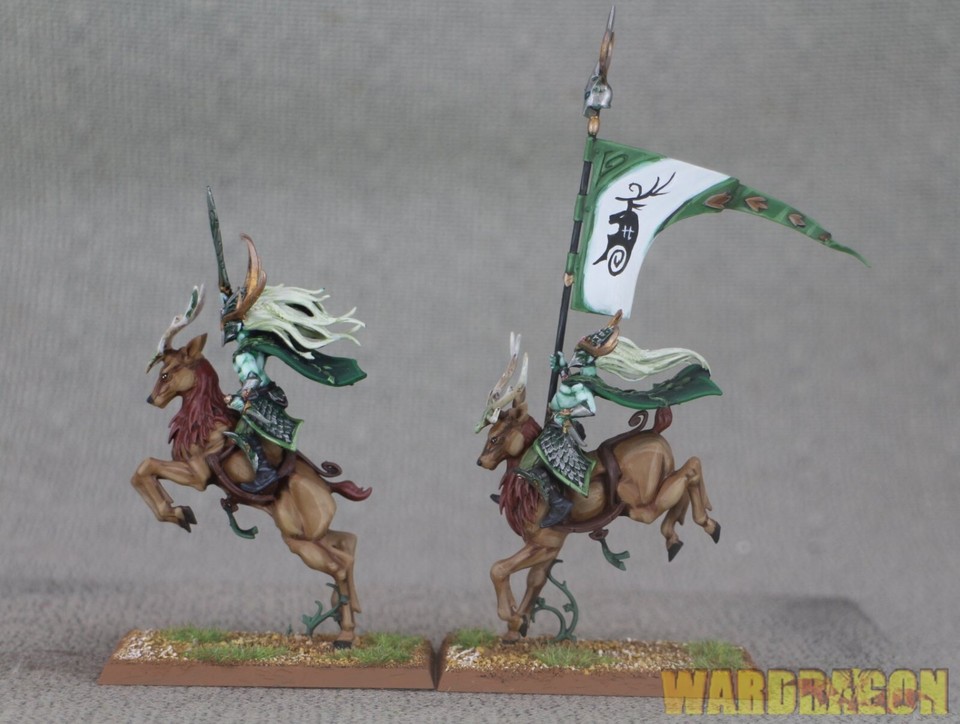 Warhammer AOS WDS painted Wood Elf Wild Riders b45 | eBay