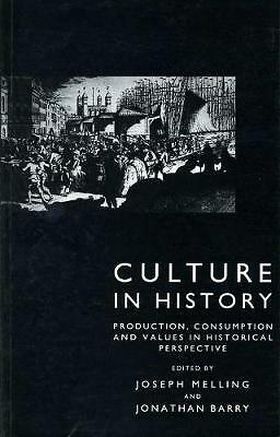Culture in History: Production, Consumption and Values in Historical ...