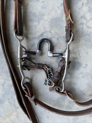 HEADSTALL BRIDLE, PORTED BIT, CURB CHAIN, SPLIT REINS | eBay
