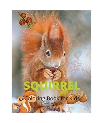 Squirrel Coloring Book for Kids: Funny Squirrel Activity Coloring Pages ...