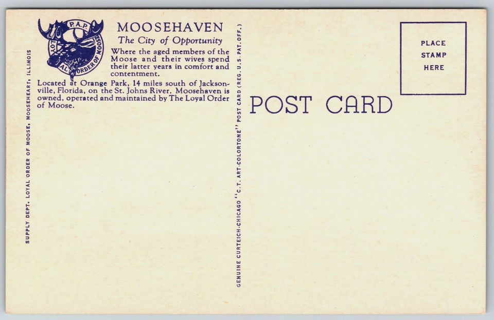 Vintage Postcard - Moosehaven Aged Home - Loyal Order of Moose - Orange ...