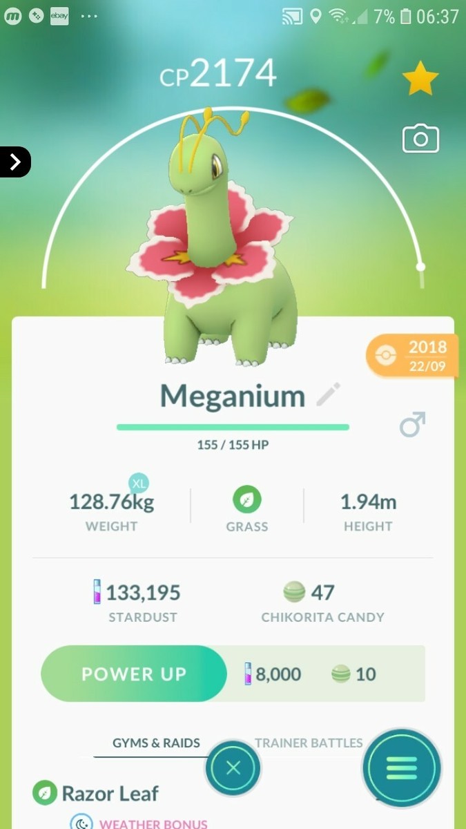 Mega Evolution Meganium