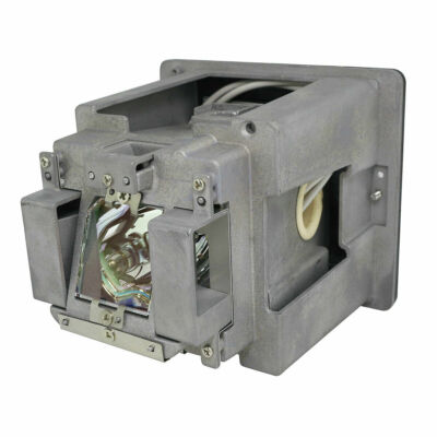 DLP Projector Lamp Bulb Module For Optoma BL-FU400A EW860 EW865 OPX6105 ...