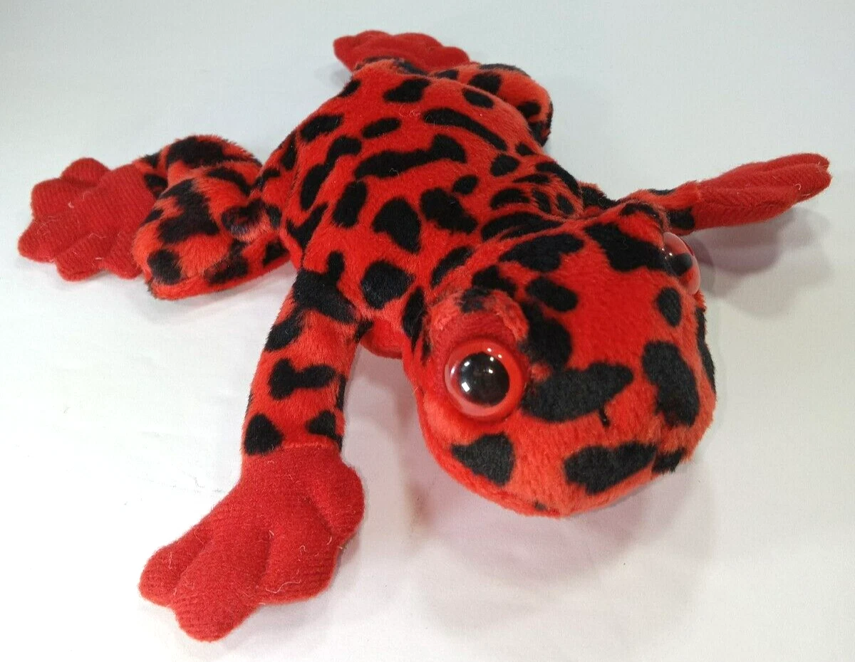 Red And Black Poison Dart Frog