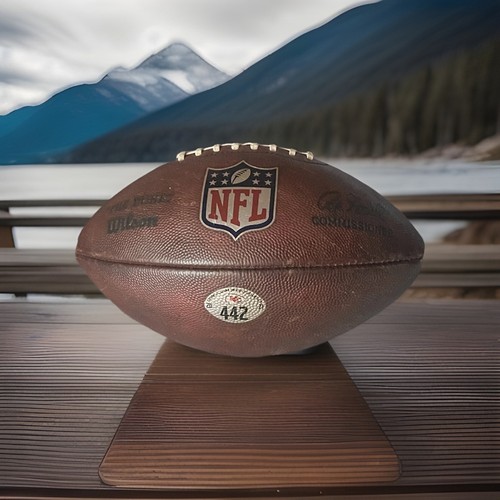 Kansas City Chiefs Used 2021 NFL Season Wilson Game Ball Mahomes Kelce ...