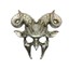 GOAT RAM ARIES SHEEP KRAMPUS STEAMPUNK COSTUME MASK HORNS DEMON DEVIL ...