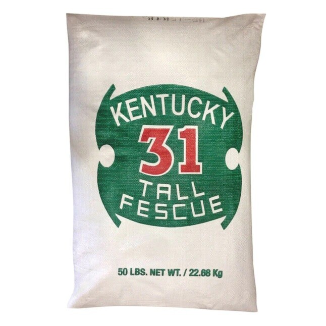 Kentucky 31 Tall Fescue, Grass Seed, (5 Lb. pack), Kentucky 31 Field ...