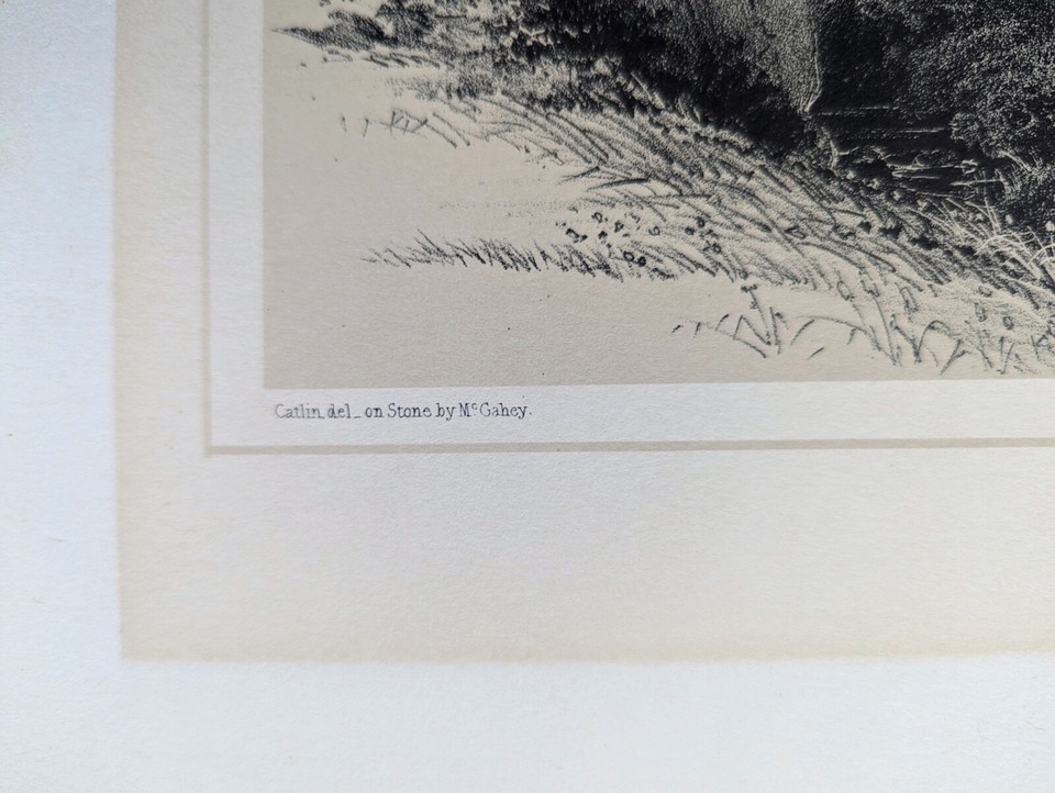 Buffalo Hunt Approaching in a Ravine George Catlin Day & Haghe ...