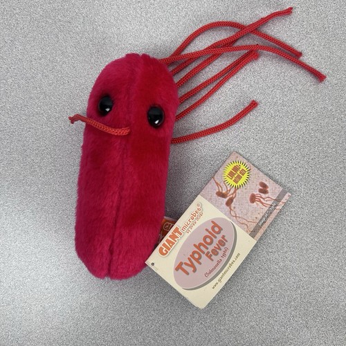 Giant Microbes Typhoid Fever (Salmonella typhii) Plush Toy Microbiology ...