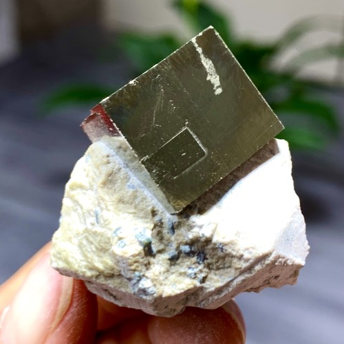 44G Natural Spanish Pyrite Cubic raw stone crystal quartz mineral ...