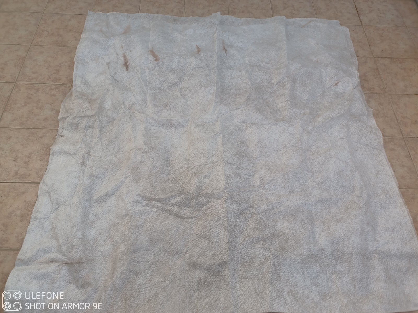 *WOW* DeWitt Plant Cover Freeze Protection Reusable Thermal Cloth Frost ...