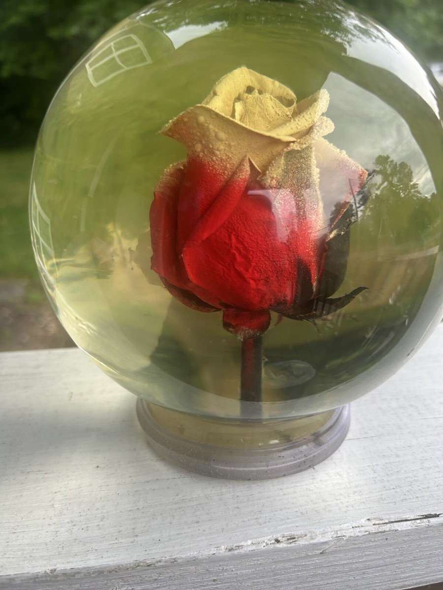 In Real Rose Water Globe