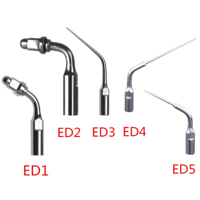 5 pcs Endodontic Dental Ultrasonic Endo Tips ED1 ED2 ED3 ED4 ED5 for ...
