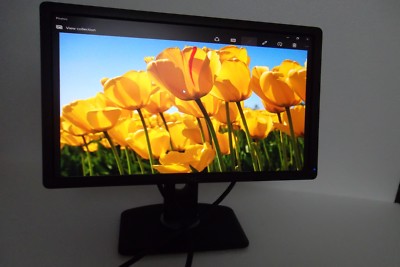 Dell Professional P2212H 22" LCD Monitor w/2-Port USB VGA DVI 1080p ...
