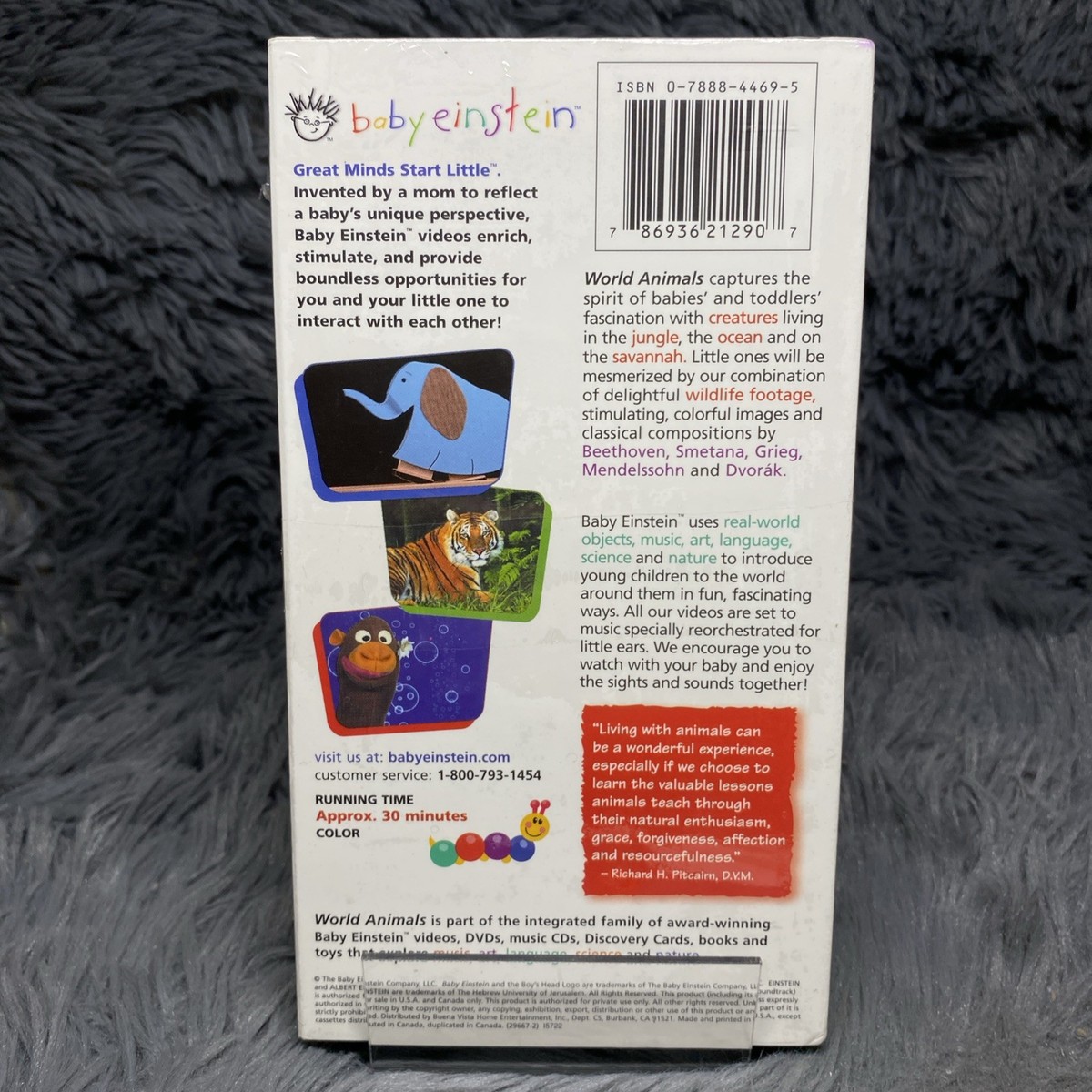 Baby Einstein World Animals Sea Baby Einstein: World Animal Adventure