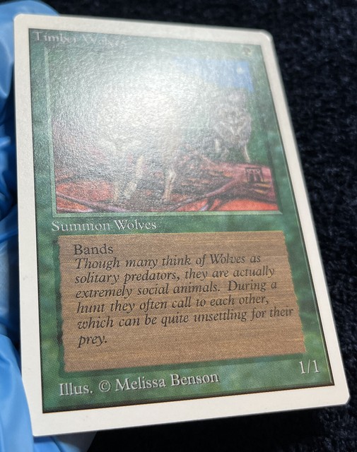 MTG Timber Wolves Unlimited Regular Rare for sale online | eBay