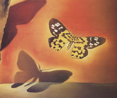 Salvador Dali Landscape With Butterflies Original The 20 Best Salvador
