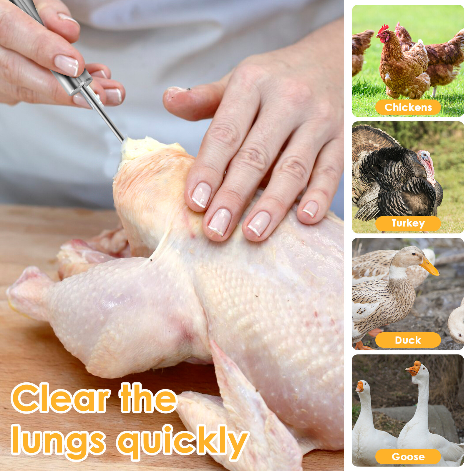 Chicken Lung Remover with Ergonomic Handle Food Grade Chicken Lung ...