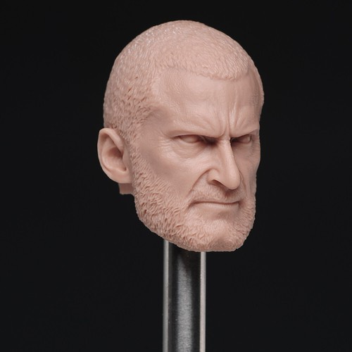 1/6 Male Head Sculpt Wolverine Logan Model For 12inch PH TBL Action ...