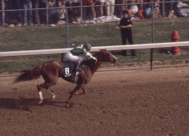 Genuine Risk 1980 Kentucky Derby Win 5 Old Horse Racing Photo | eBay ...