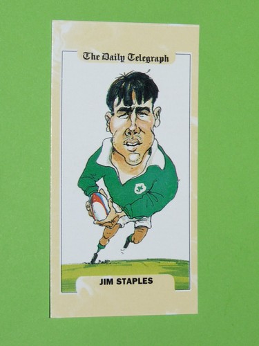 DAILY TELEGRAPH CARD 1995 RUGBY COUPE MONDE IRLANDE EIRE JIM STAPLES | eBay