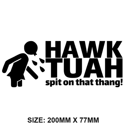 Hawk Tuah Spit On That Thang Sticker Vinyl Decal Funny Logo Meme | eBay