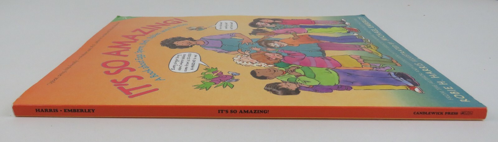 It's So Amazing! Book about Eggs Sperm Birth Babies Family The Family ...