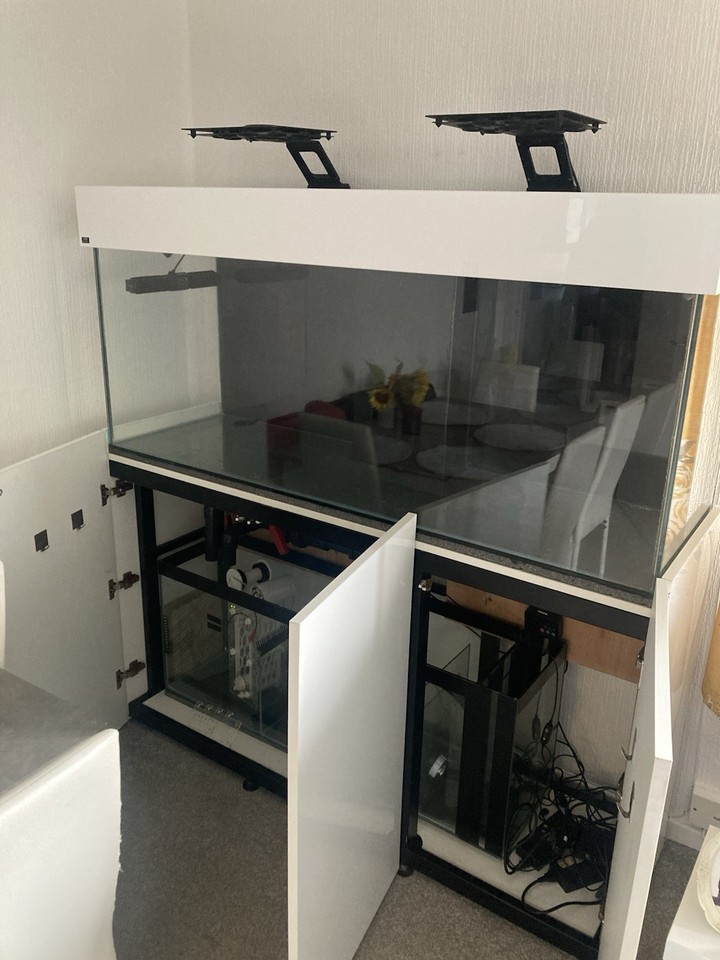 5ft Marine Fish Tank With Equipment | eBay UK