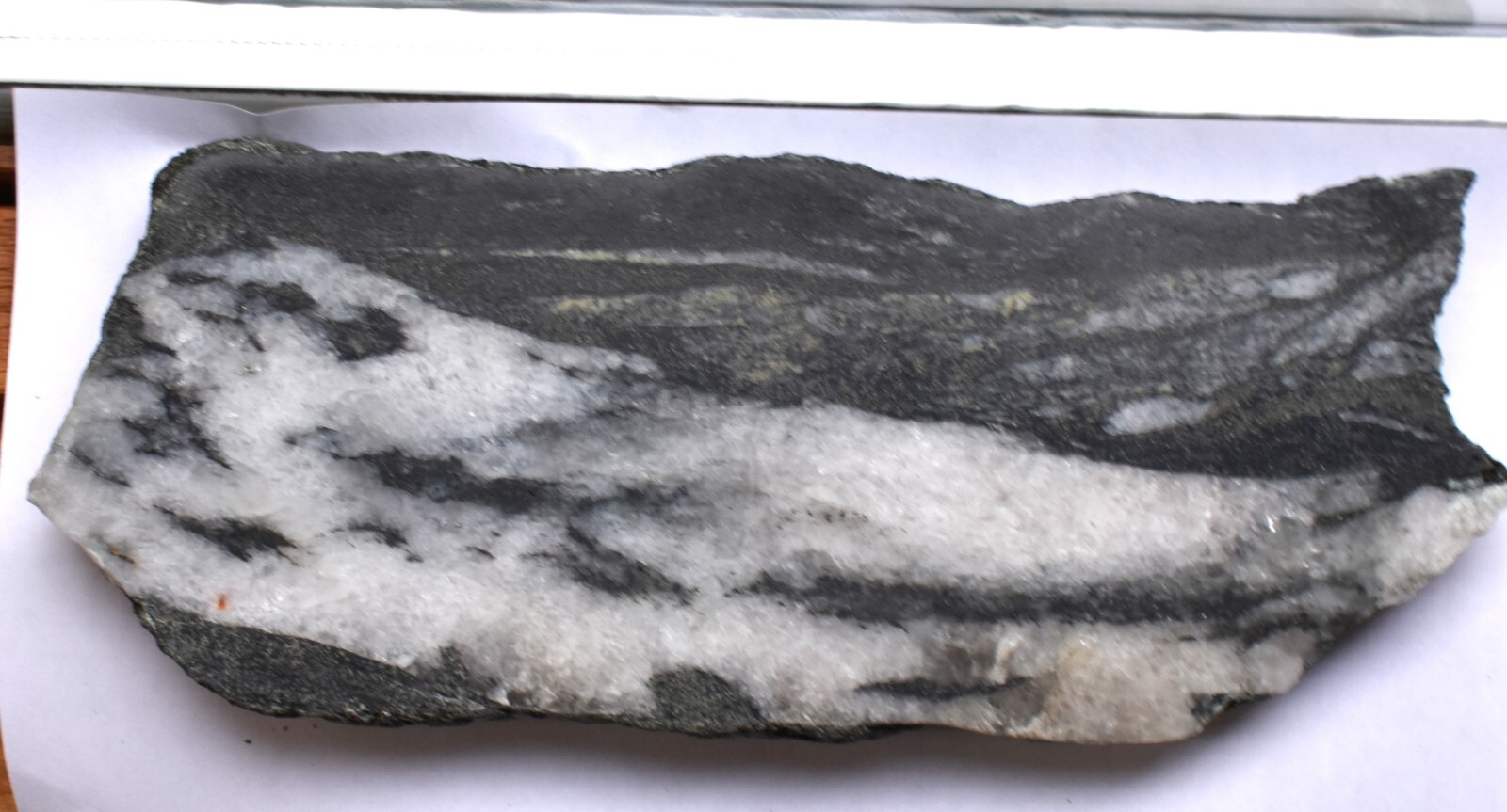 Mica-Schist Silver Black White Quartz Polished Slab Blue Ridge North ...