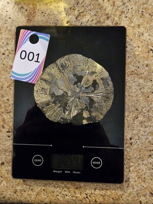 pyrite sun dollar | eBay