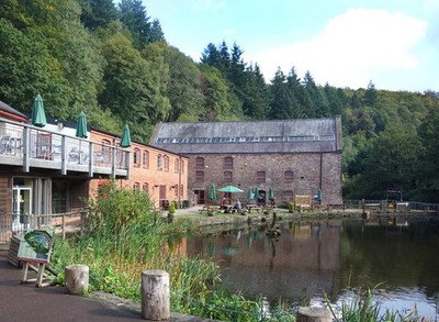 Photo A2 Mill and Pond, Dean Heritage Centre Lower Soudley A visitor ...