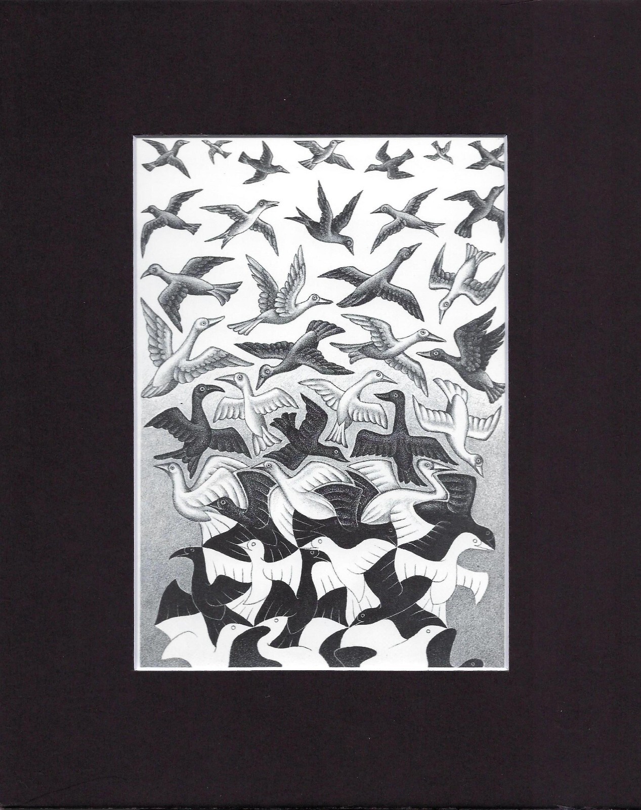 8X10" Matted Print Dimensional Art Picture MC Escher: Liberation | eBay