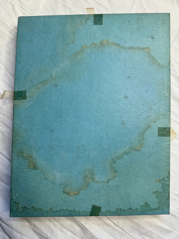 Vintage Beachcomber Shell & Shell & Marine Specimen Collection Display ...