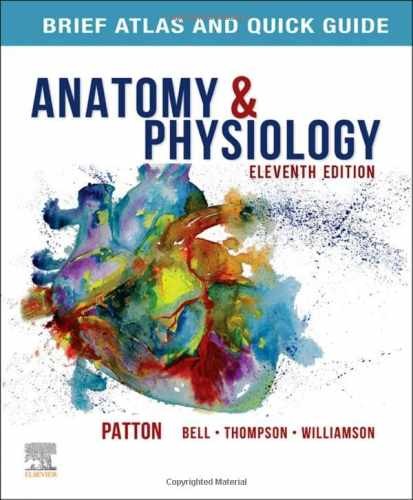 ANATOMY+PHYSIOLOGY-ATLAS+QUICK GUID - Paperback, by unknown author ...