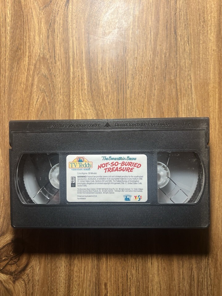 THE BERENSTAIN BEARS NOT SO BURIED TREASURE TV TEDDY VHS VIDEO TAPE ...