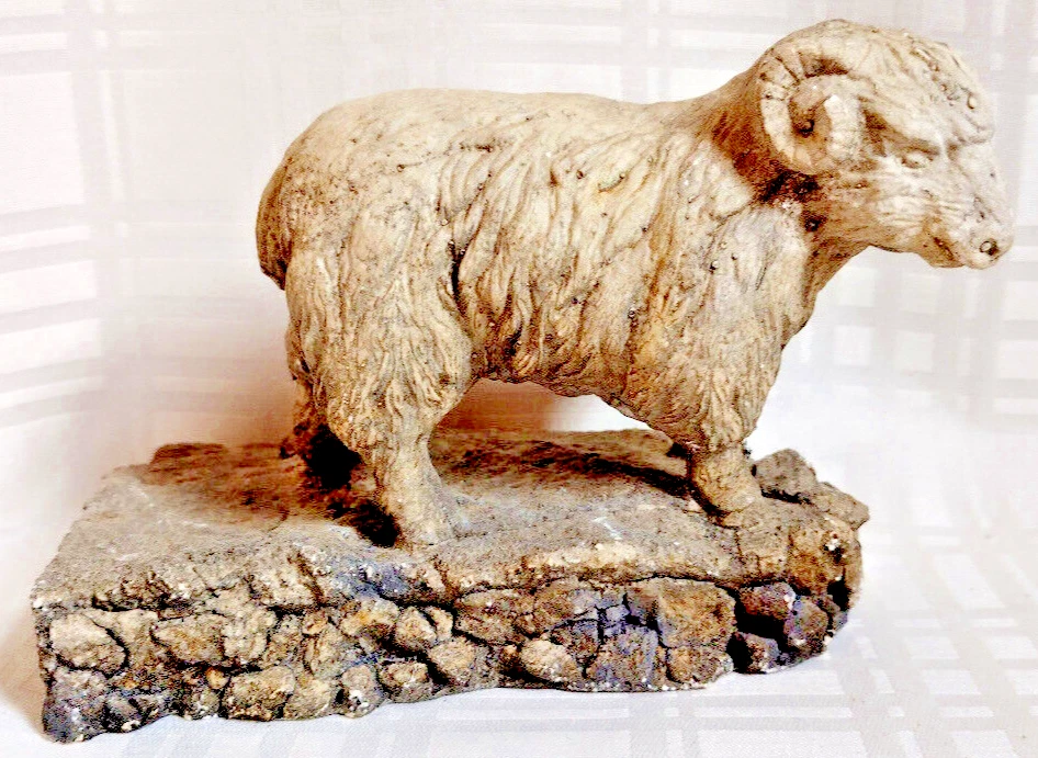 Mountain Goat Ram