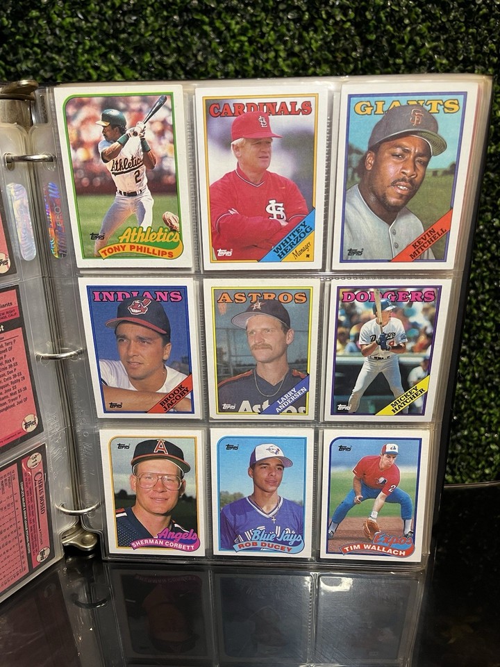 HUGE Baseball Card Collection | eBay